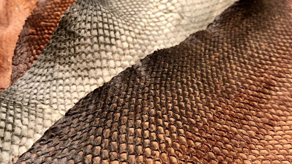 Fish Skin Tanning - Virtual Workshop — MOV | Museum of Vancouver