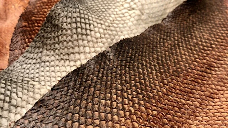 Fish Skin Tanning - Virtual Workshop — MOV | Museum of Vancouver