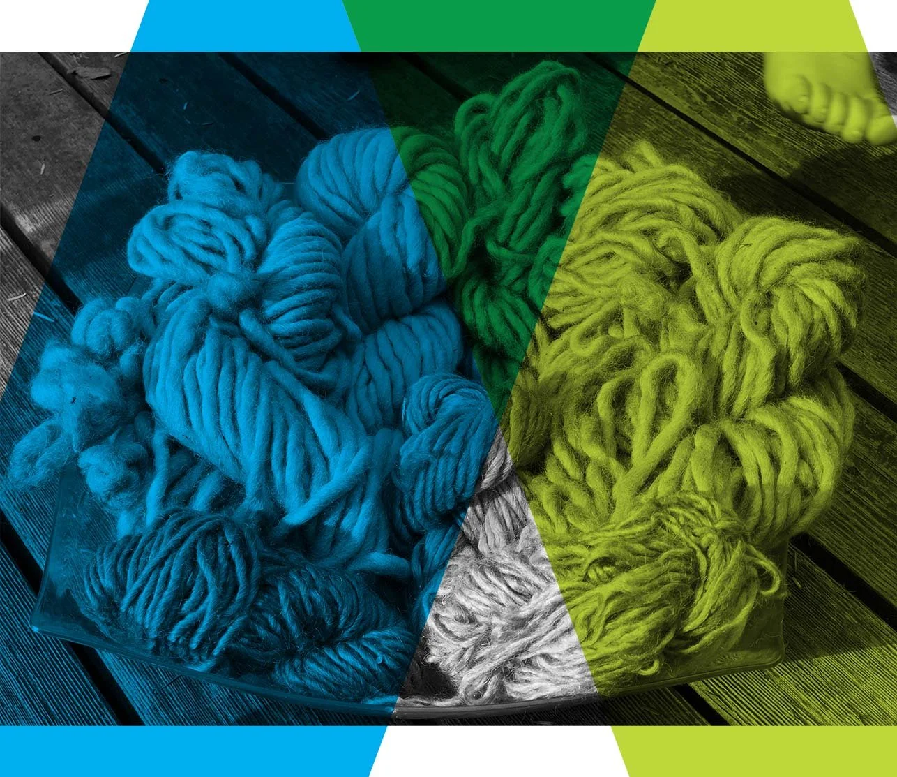 How to dye with Fungi and Lichens — MOV | Museum of Vancouver