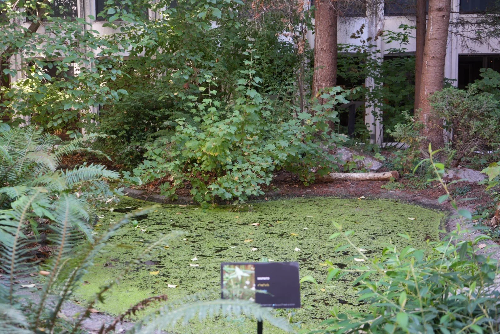 A Living Exhibition — MOV | Museum of Vancouver