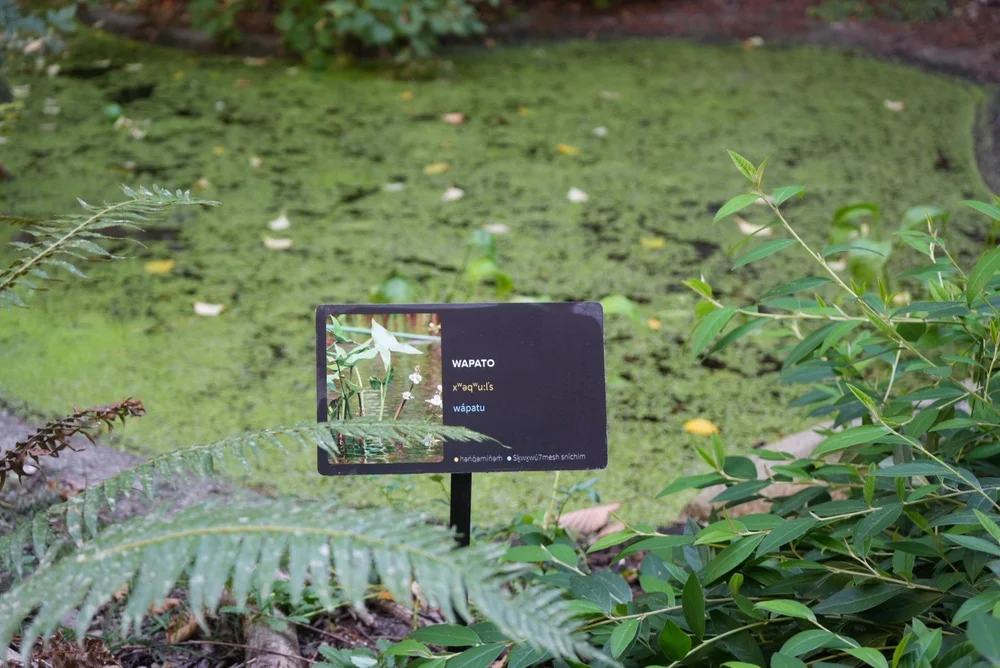 A Living Exhibition — MOV | Museum of Vancouver