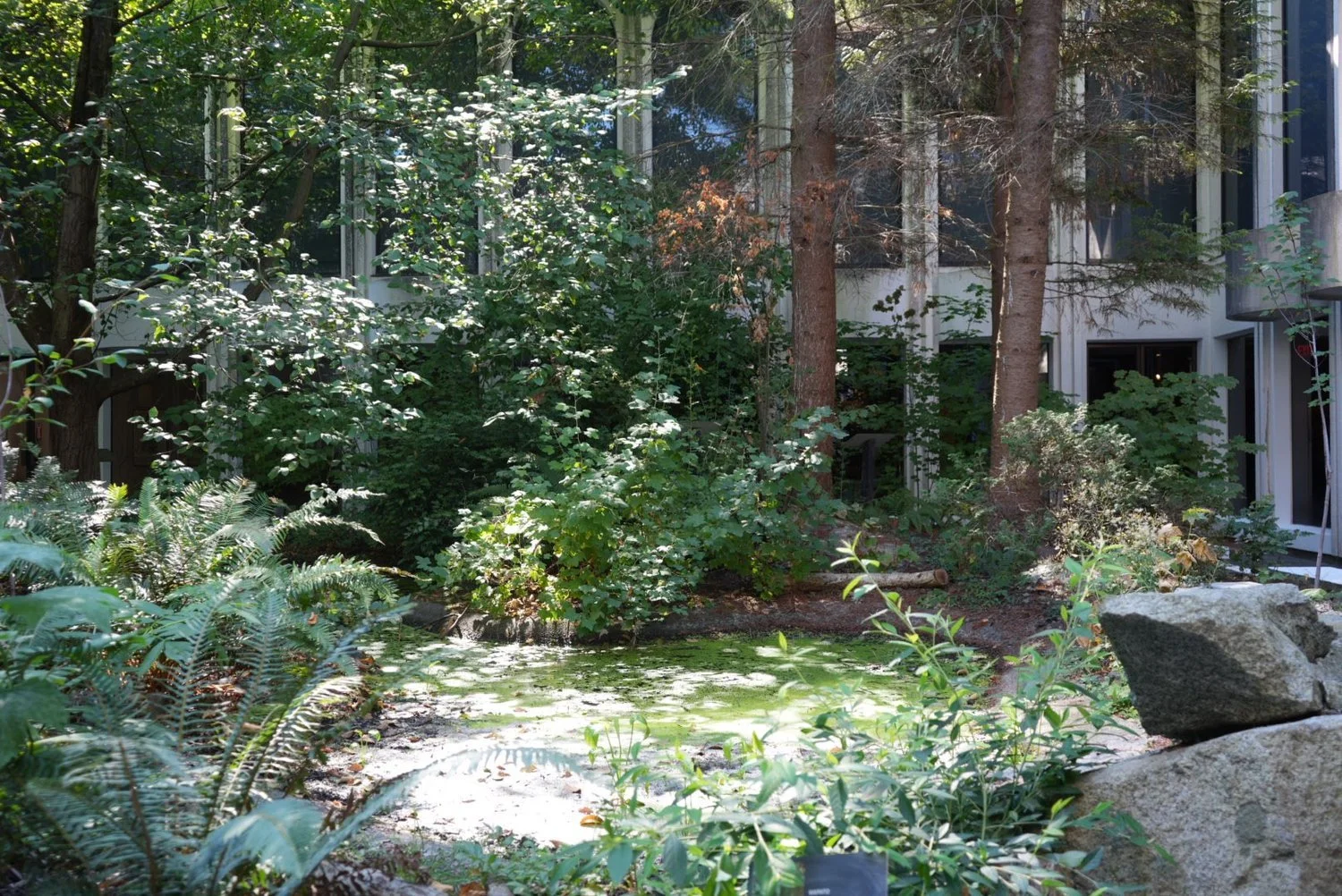 Plant Walk in the Unity Garden with Deanna Miller — MOV | Museum of ...