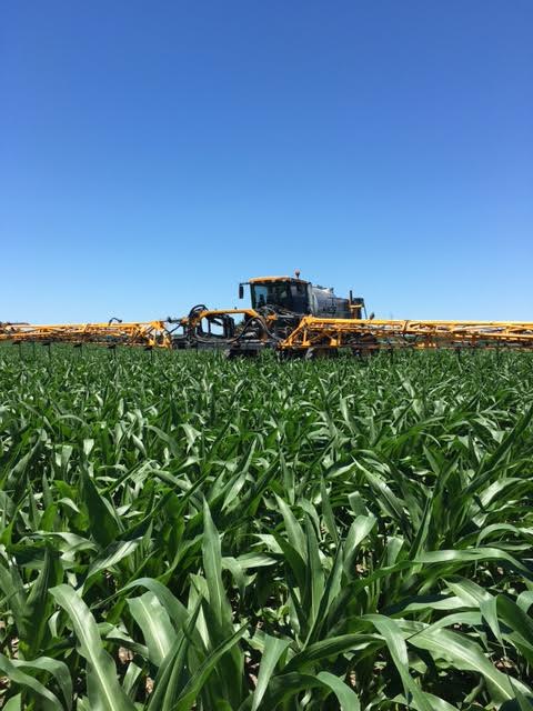 Crop Protection — Youngquist Ag