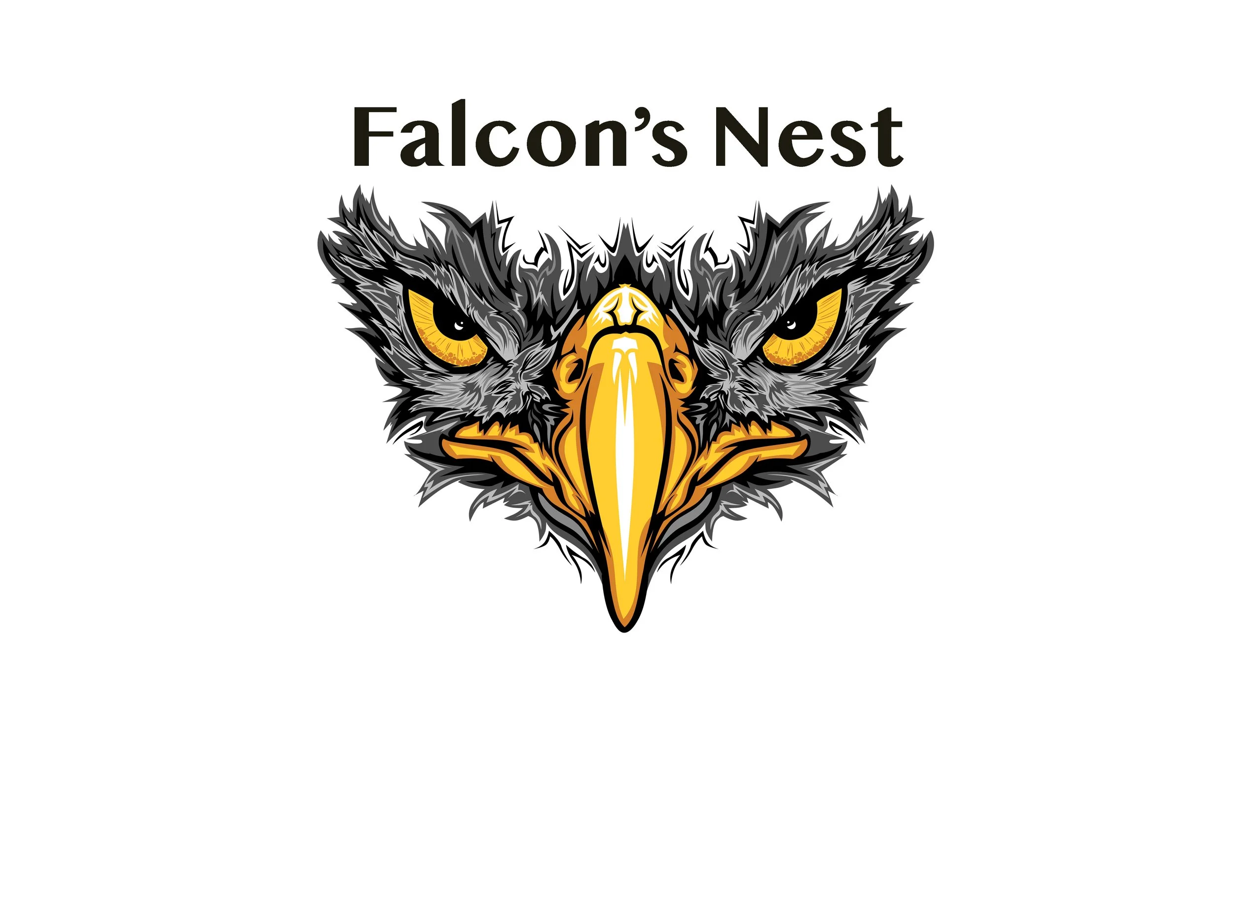 Store — Foster Falcon Band