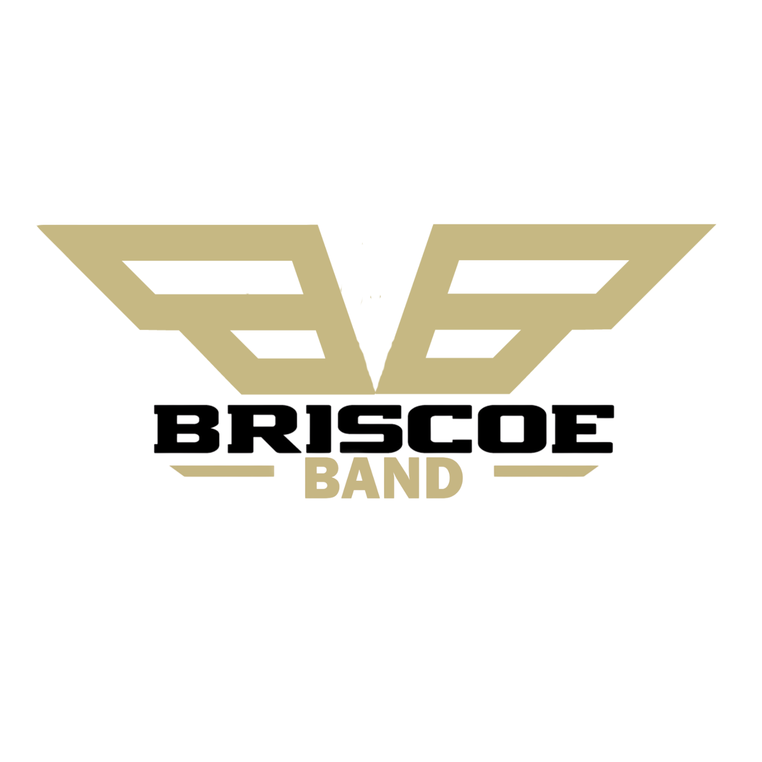 WMS & BJH Band Home Page — Foster Falcon Band