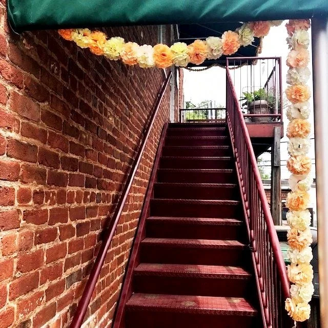 Ty Landrum Black Lotus — Ashtanga Yoga Charlottesville