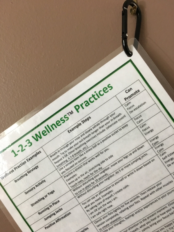 Embedding Trauma-Informed Practices Within Existing School-Wide Practices Embedding Trauma-Informed Practices Within Existing School-Wide Practices
