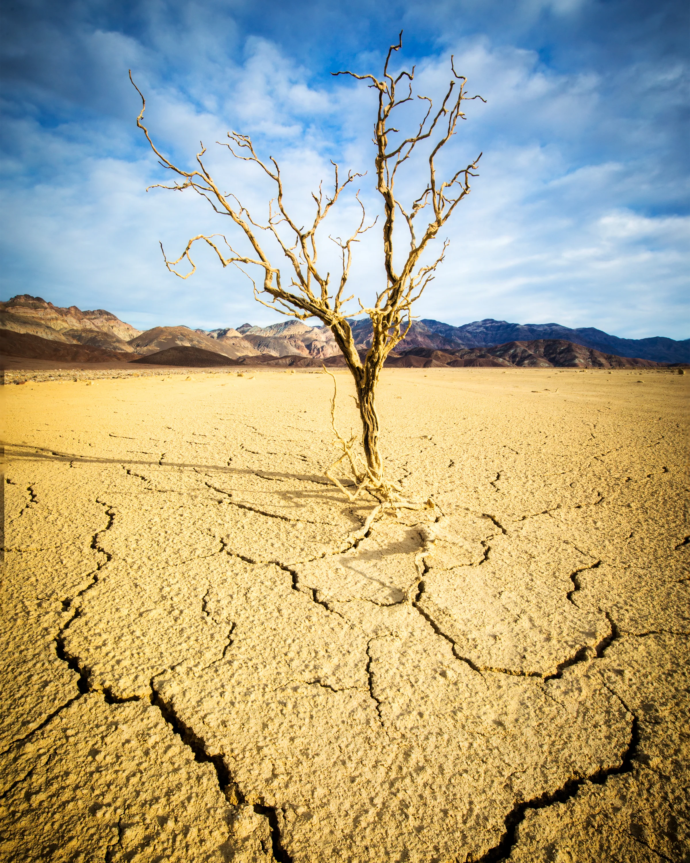 Photographs of the Southwest — Josh Merrill Photography