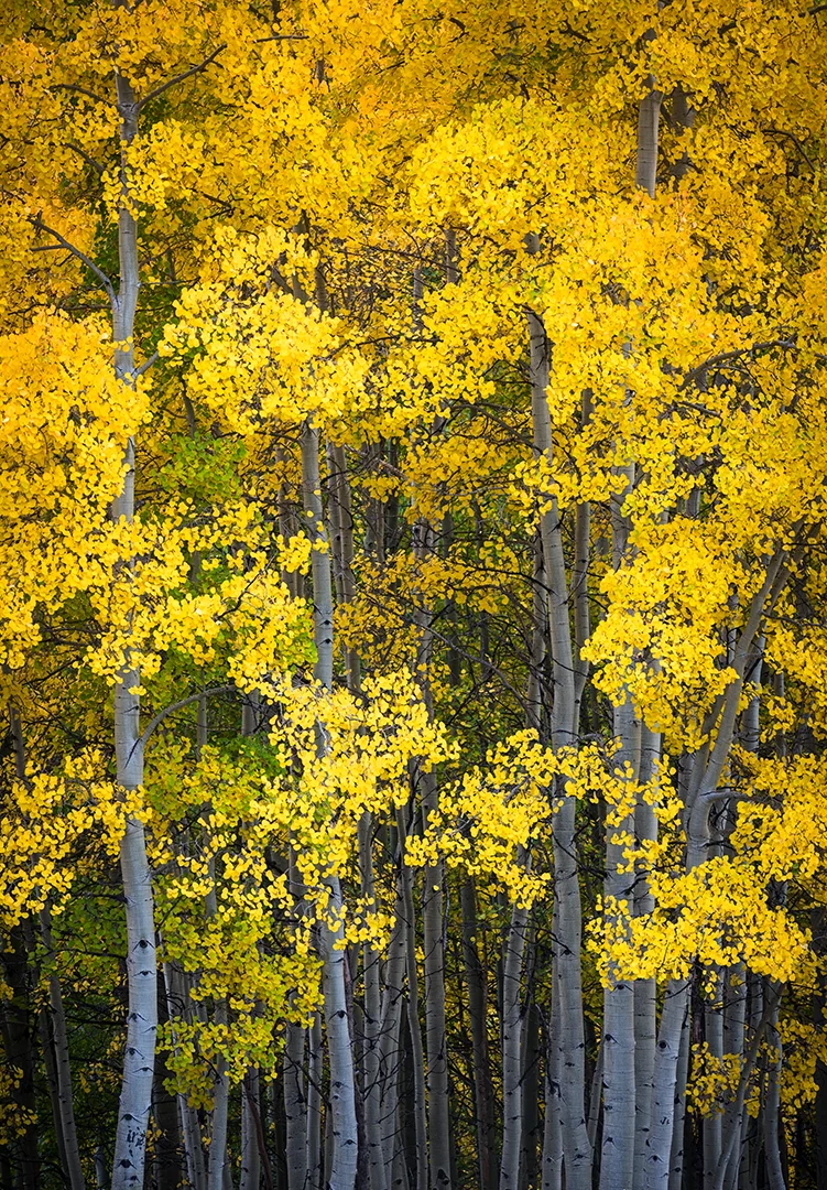 Colorado — Josh Merrill Photography