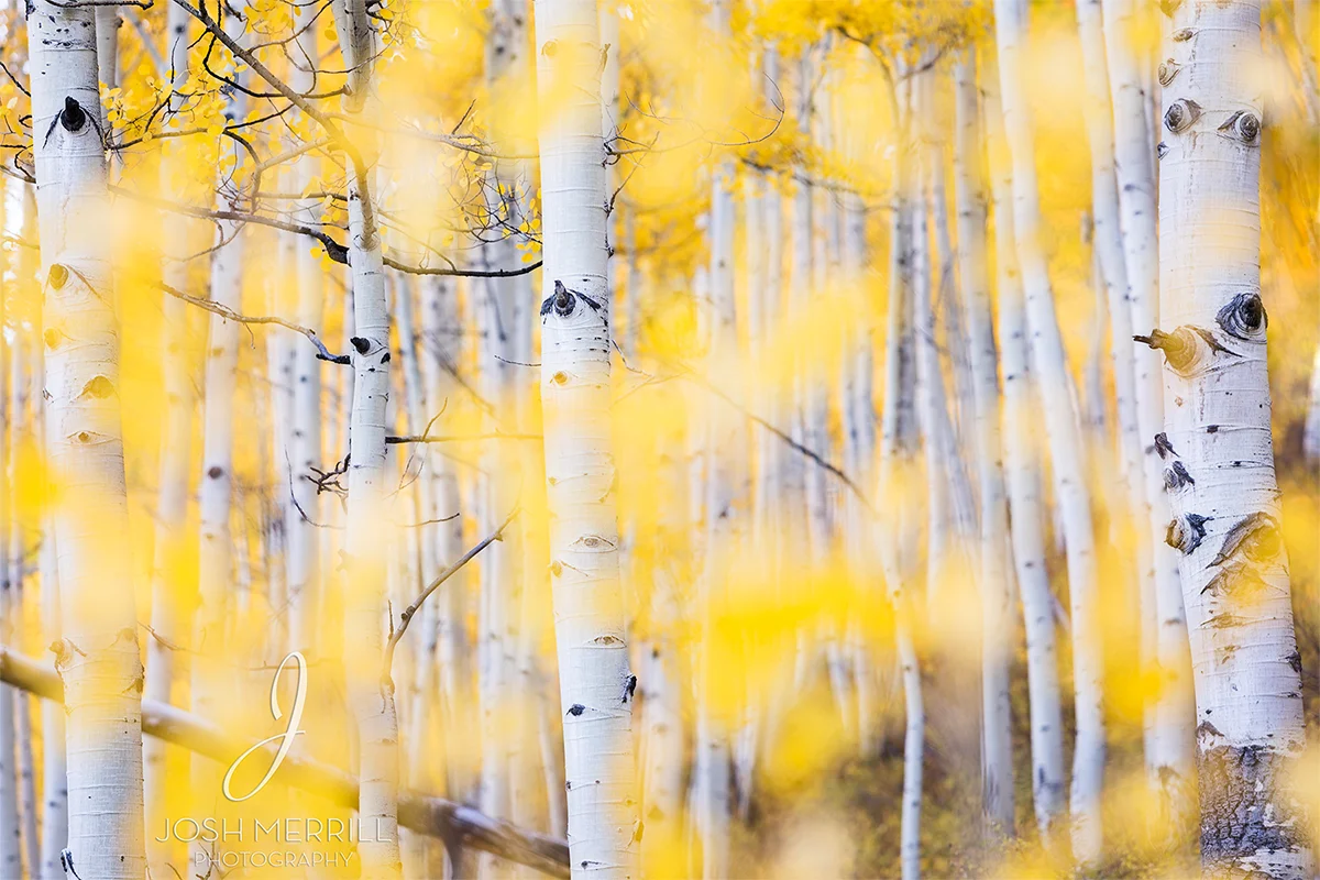 Colorado — Josh Merrill Photography