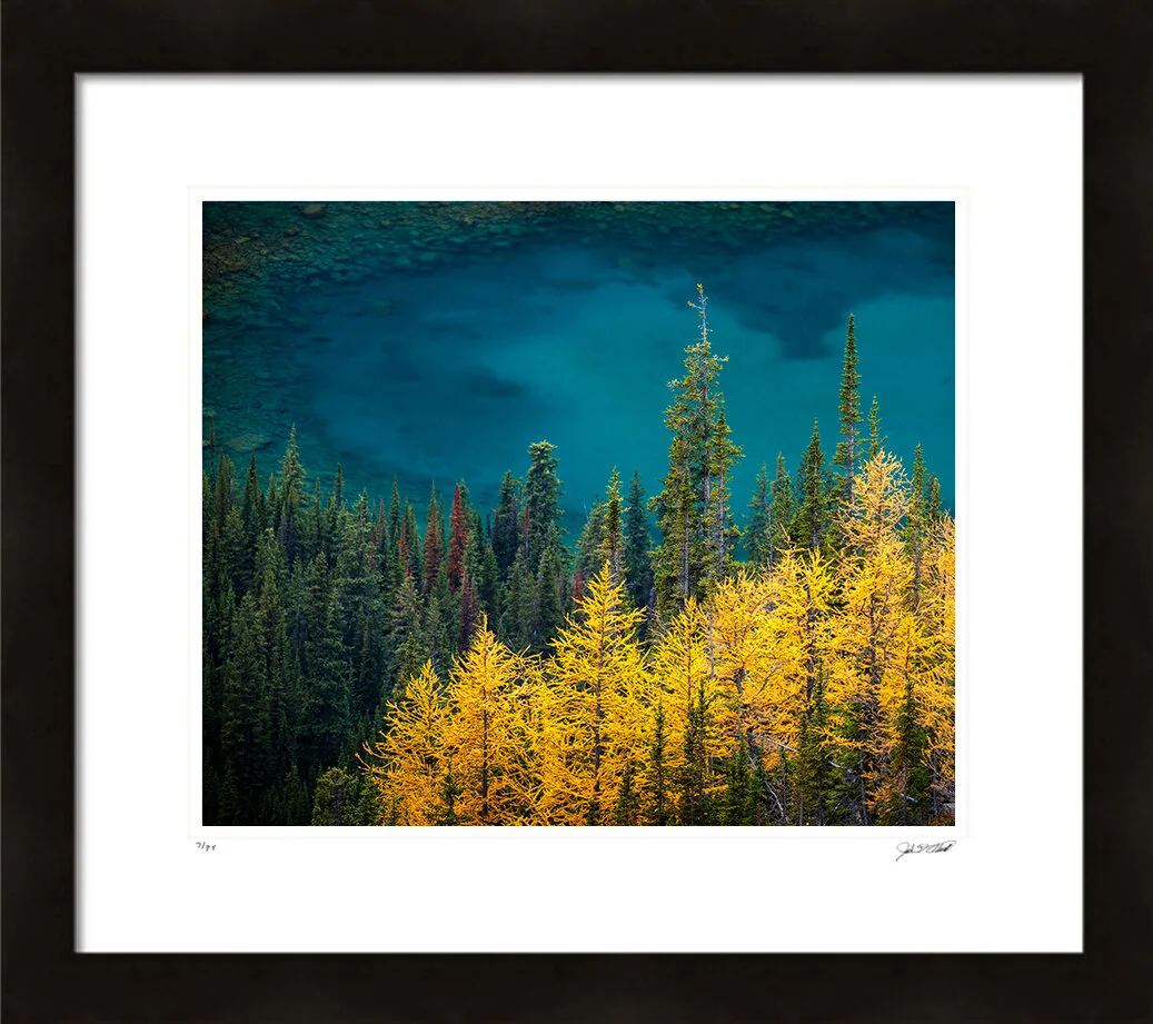 Consolation Prize — Josh Merrill Photography