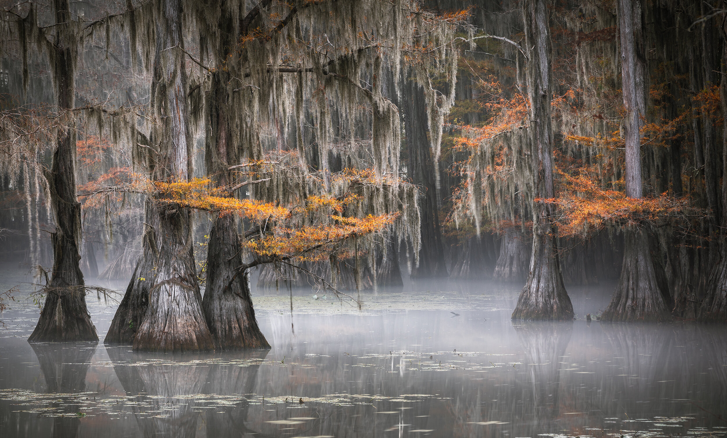 Josh Merrill Photography Print Shop — Josh Merrill Photography