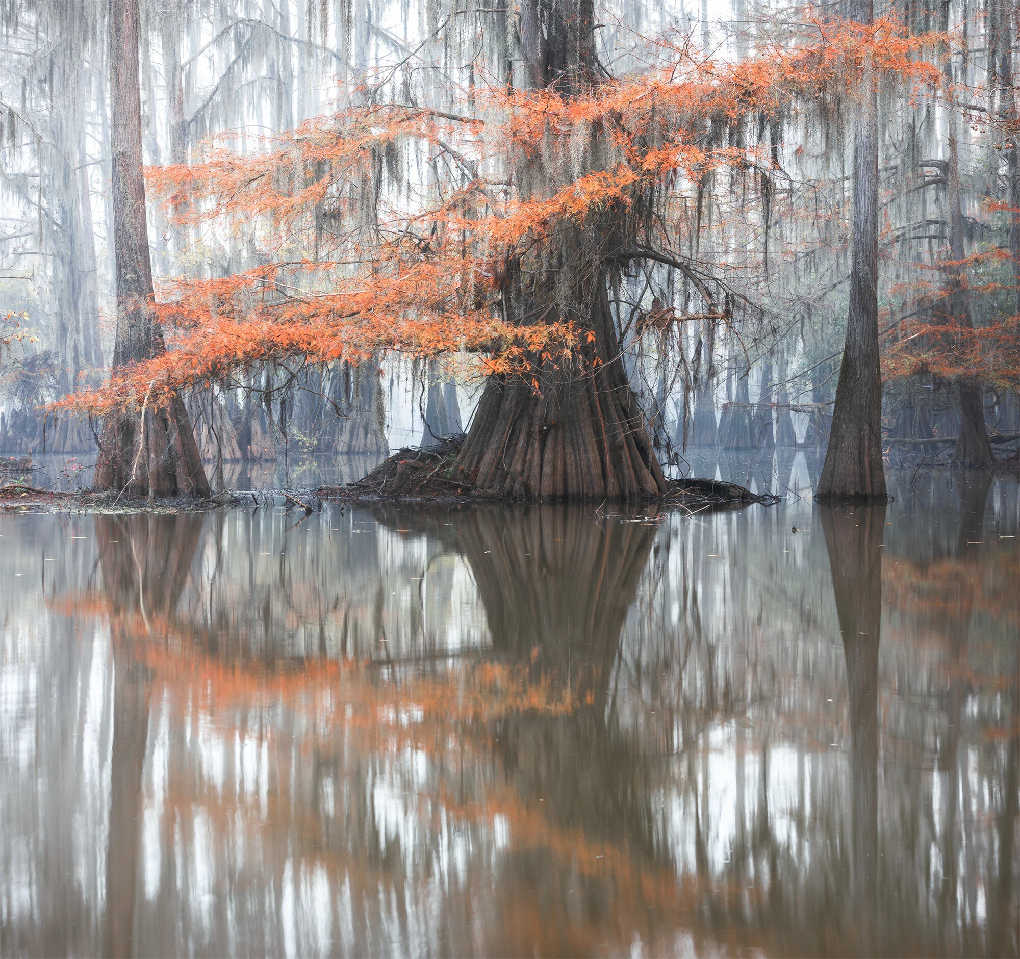 Josh Merrill Photography Print Shop — Josh Merrill Photography