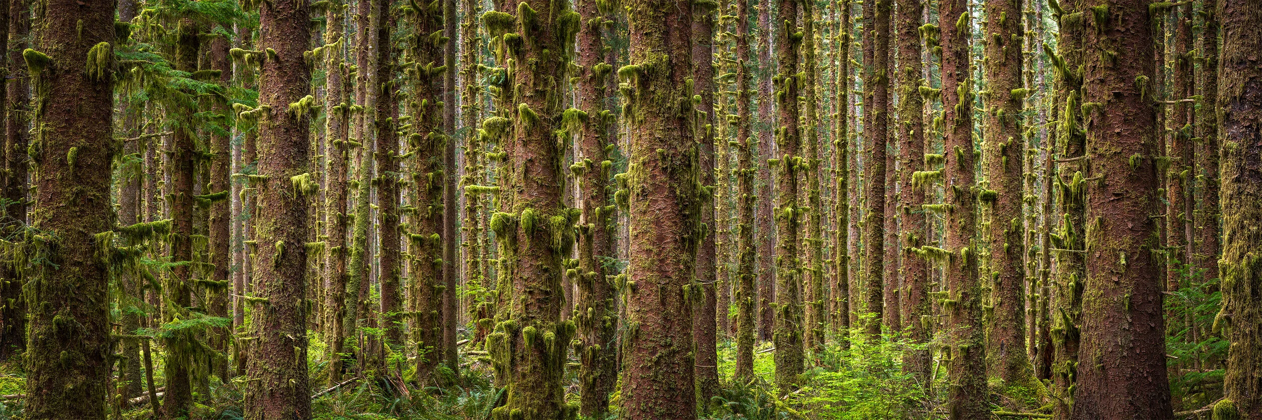 Josh Merrill Photography Print Shop — Josh Merrill Photography