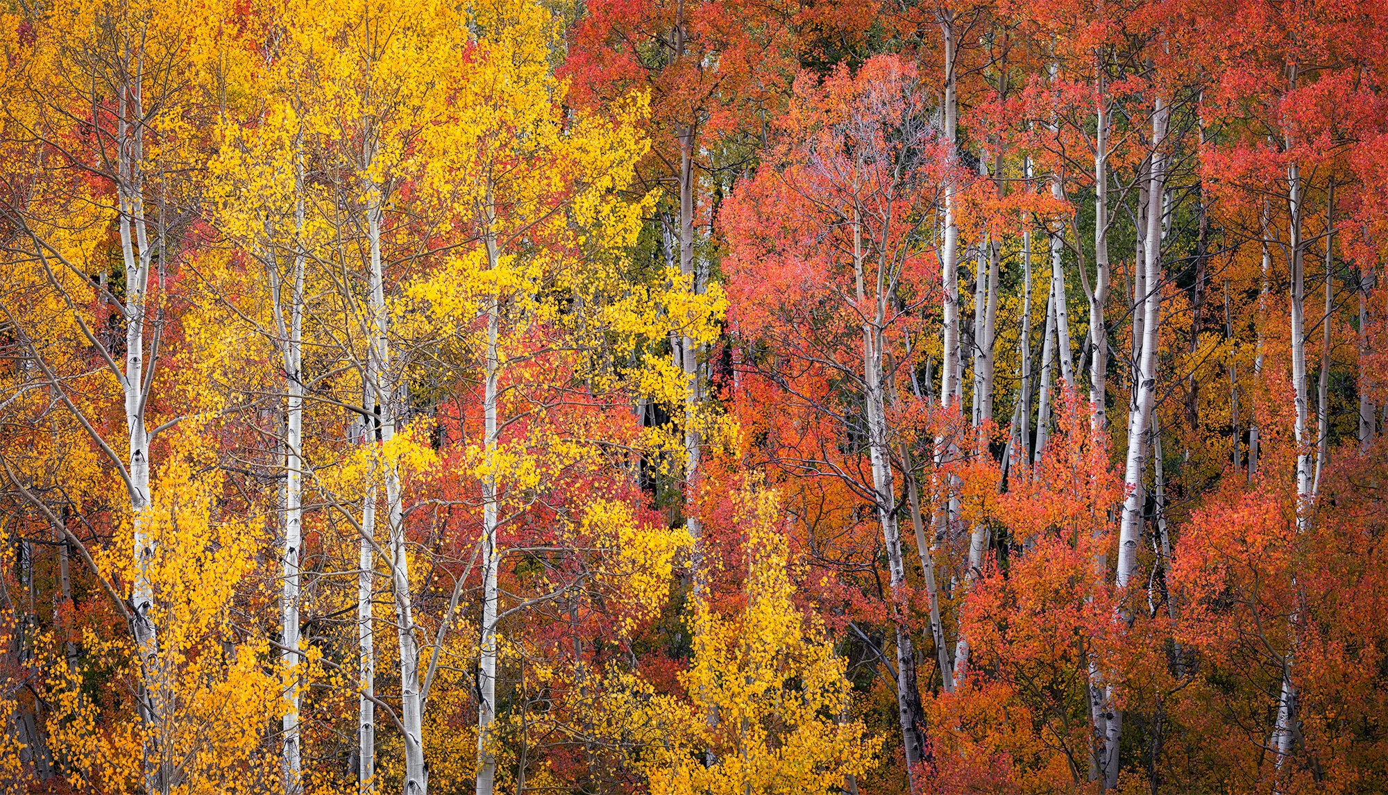 Colorado — Josh Merrill Photography