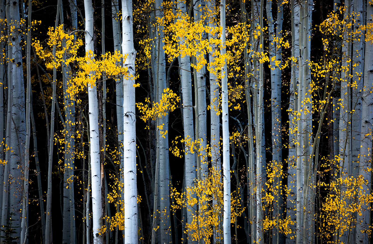 Colorado — Josh Merrill Photography