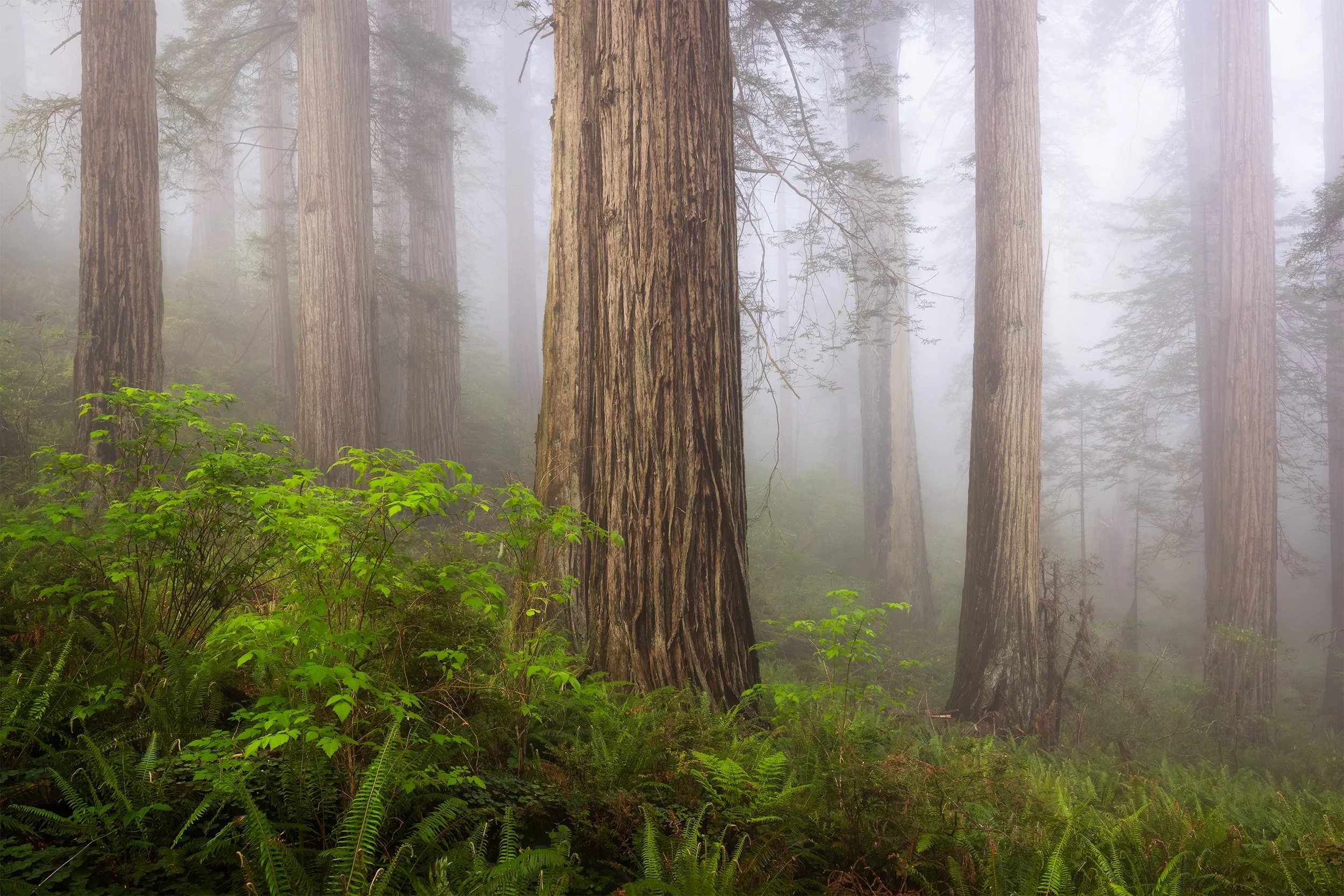 Josh Merrill Photography Print Shop — Josh Merrill Photography