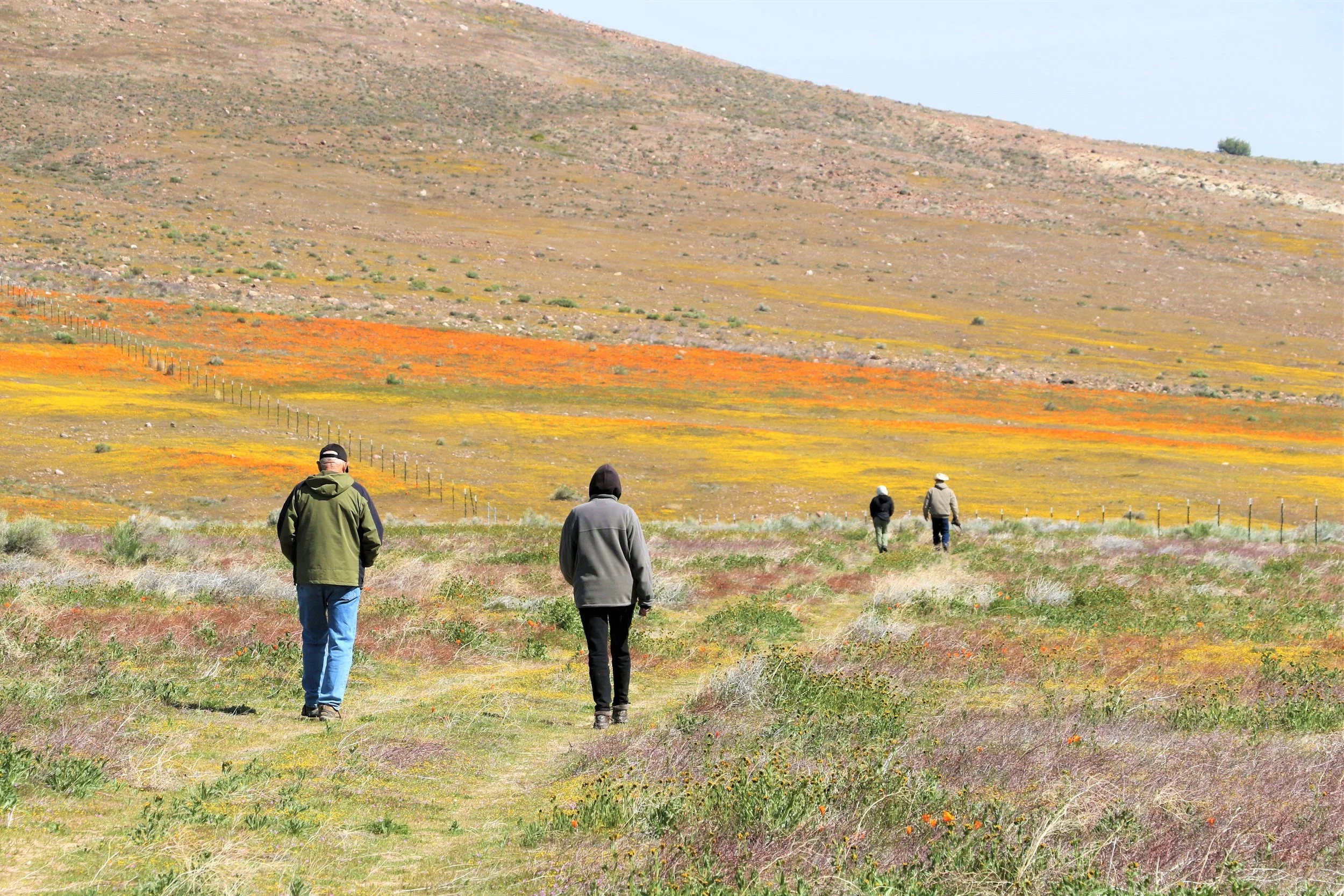 QR Landing Page — Transition Habitat Conservancy