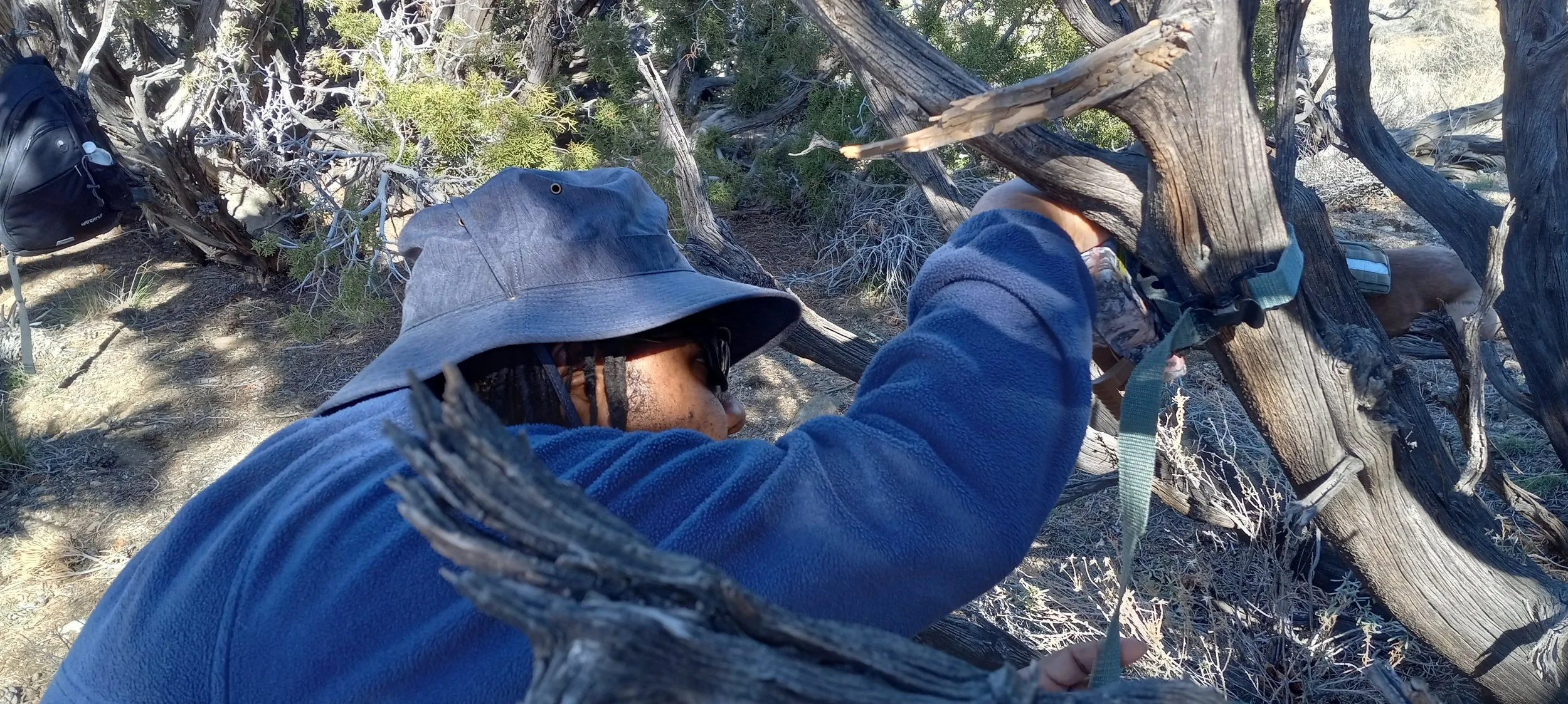 Volunteer With Us — Transition Habitat Conservancy