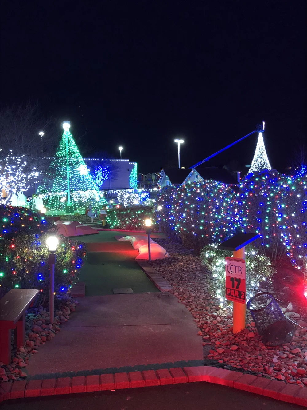 Funny Christmas Lights