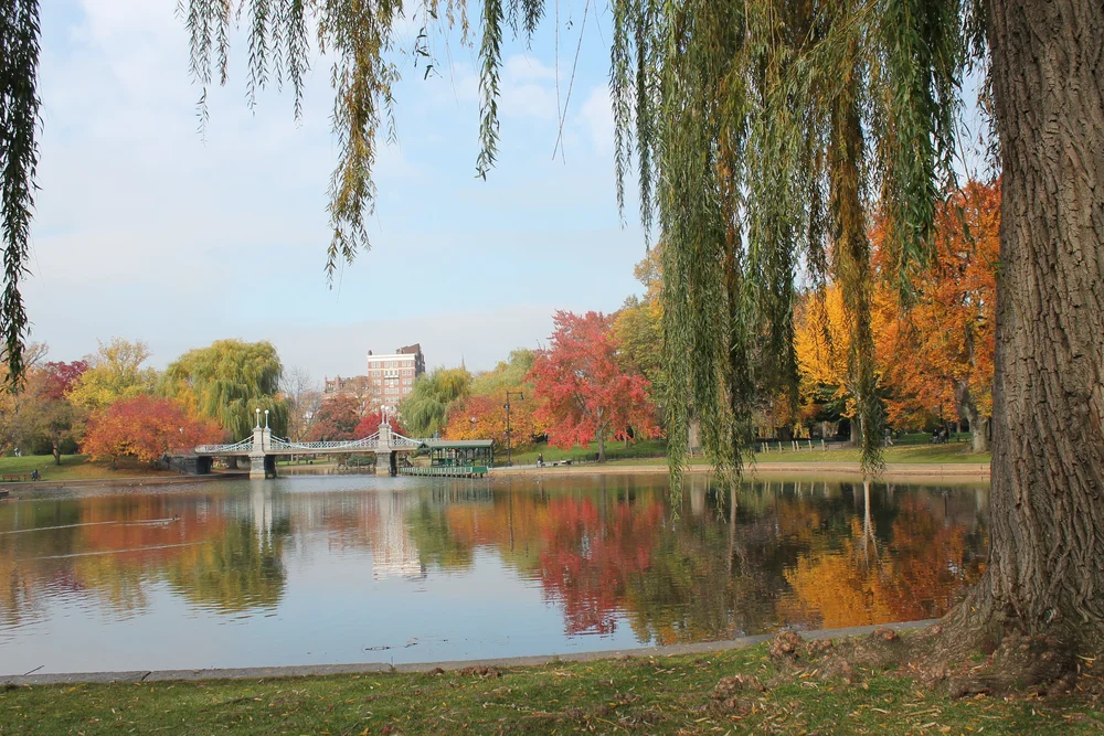 Who We Are — Boston Park Advocates