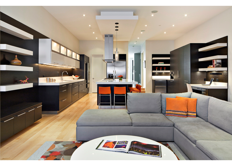 Lincoln Park Modern II — Environs Development, Inc.