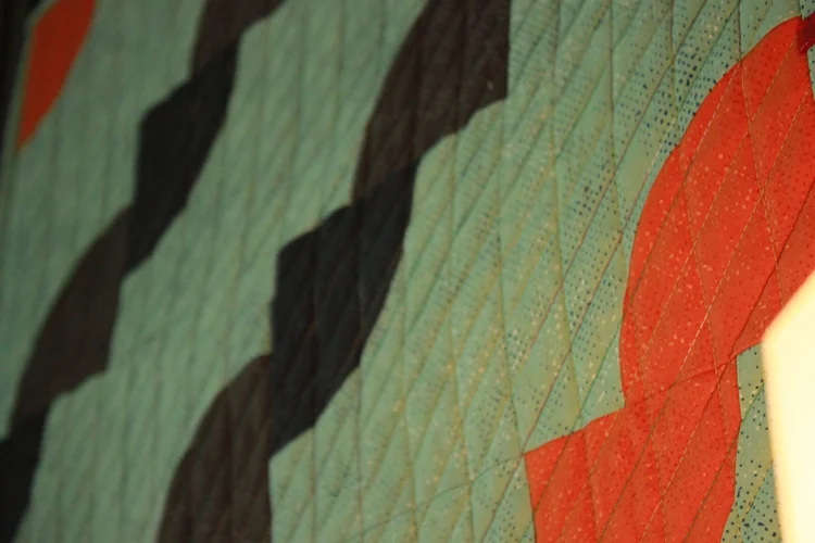 Get Ready to Rock Your Spotted Quilts & Get Prepared for Our Upcoming ...