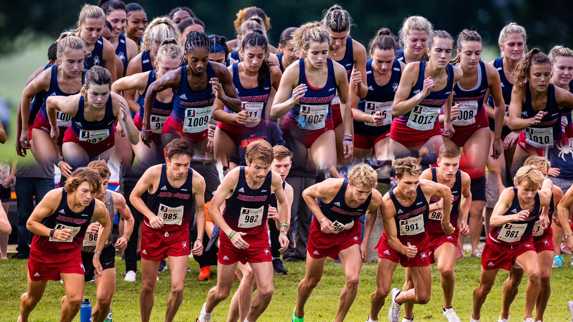 Walk on Standards Template | Fast Track Recruiting