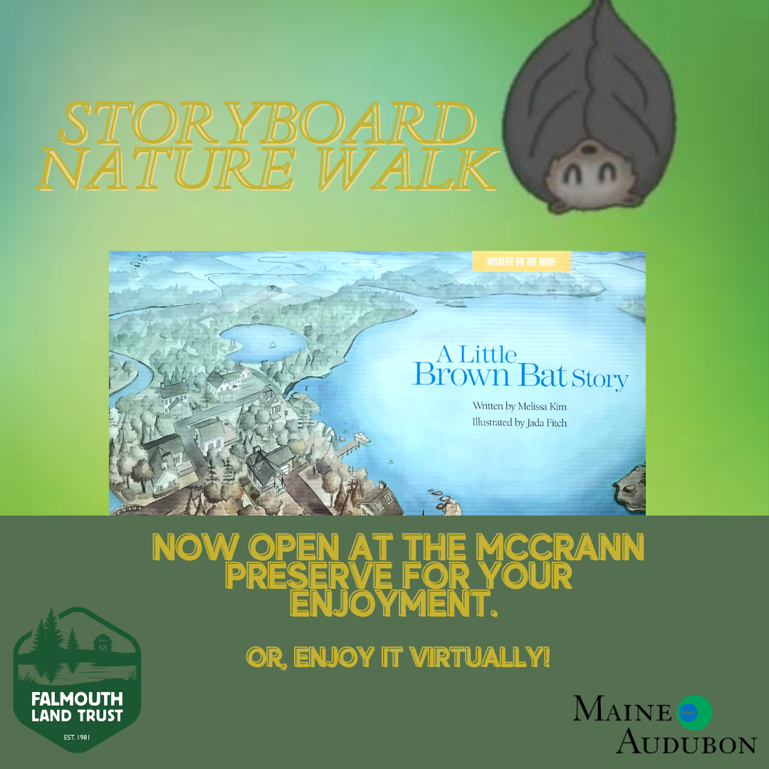 STORYBOARD NATURE WALK — Falmouth Land Trust