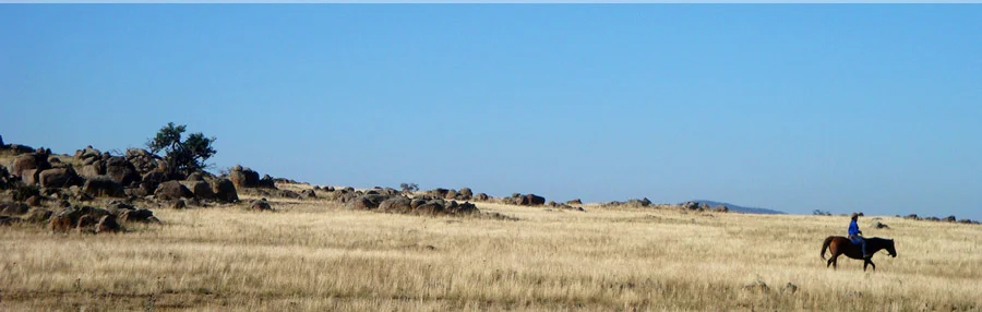 Hazeldean