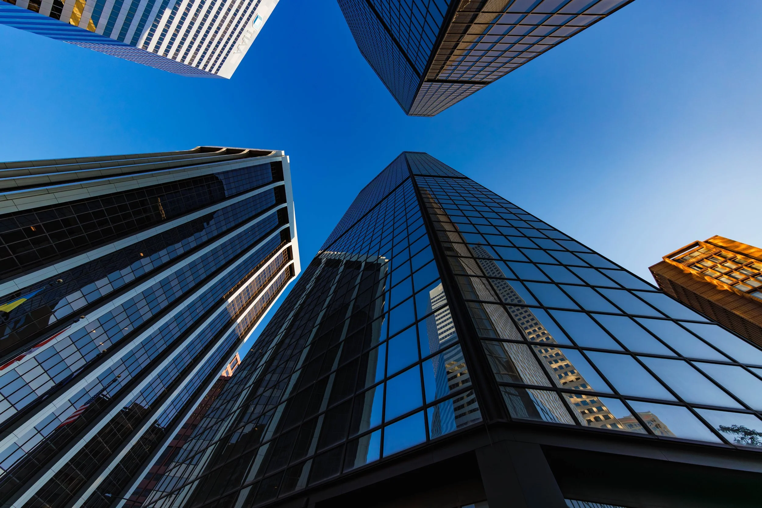 Welcome to The Luzzatto Company, Inc. (TLC)