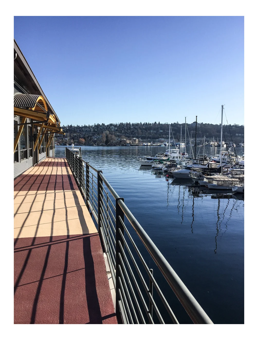 Contact — Lisa Marie INTEGRATED Rolf Method