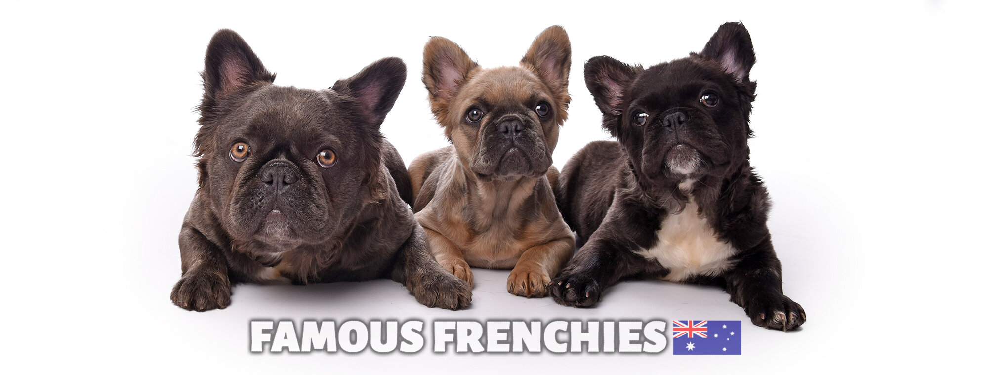 Famous Frenchies Australia