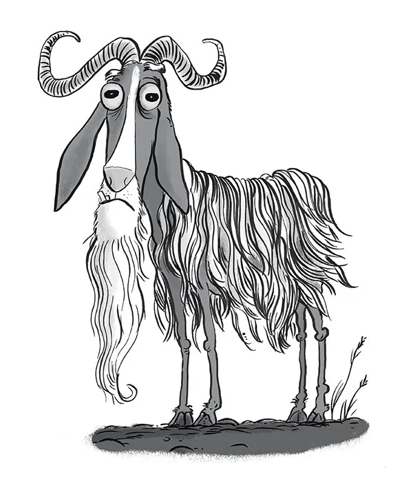 ANIMALCOLM — Jim Field