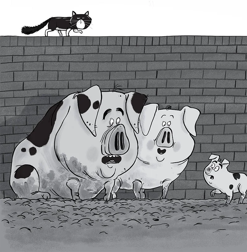 ANIMALCOLM — Jim Field