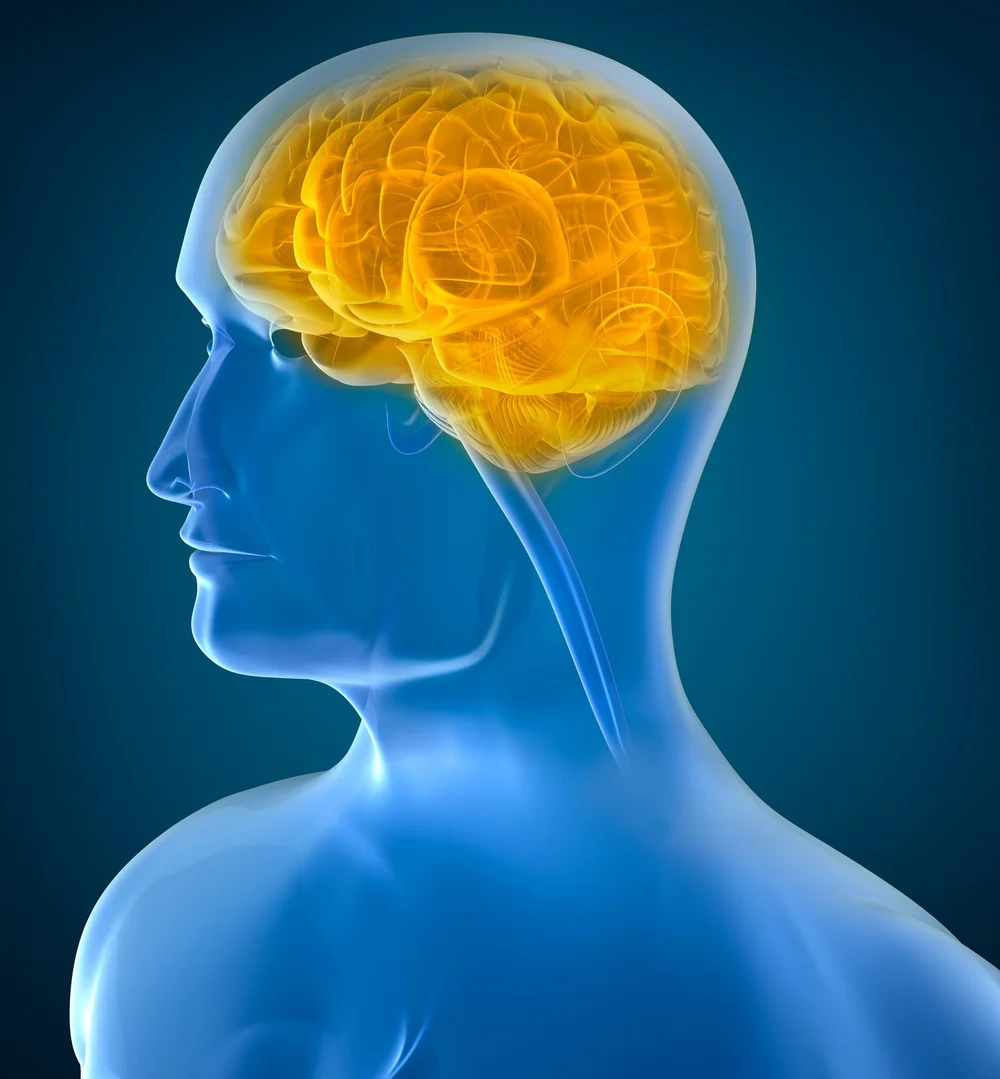 Upper Cervical / Brain Stem - Condition — Sunrise Wellness Center