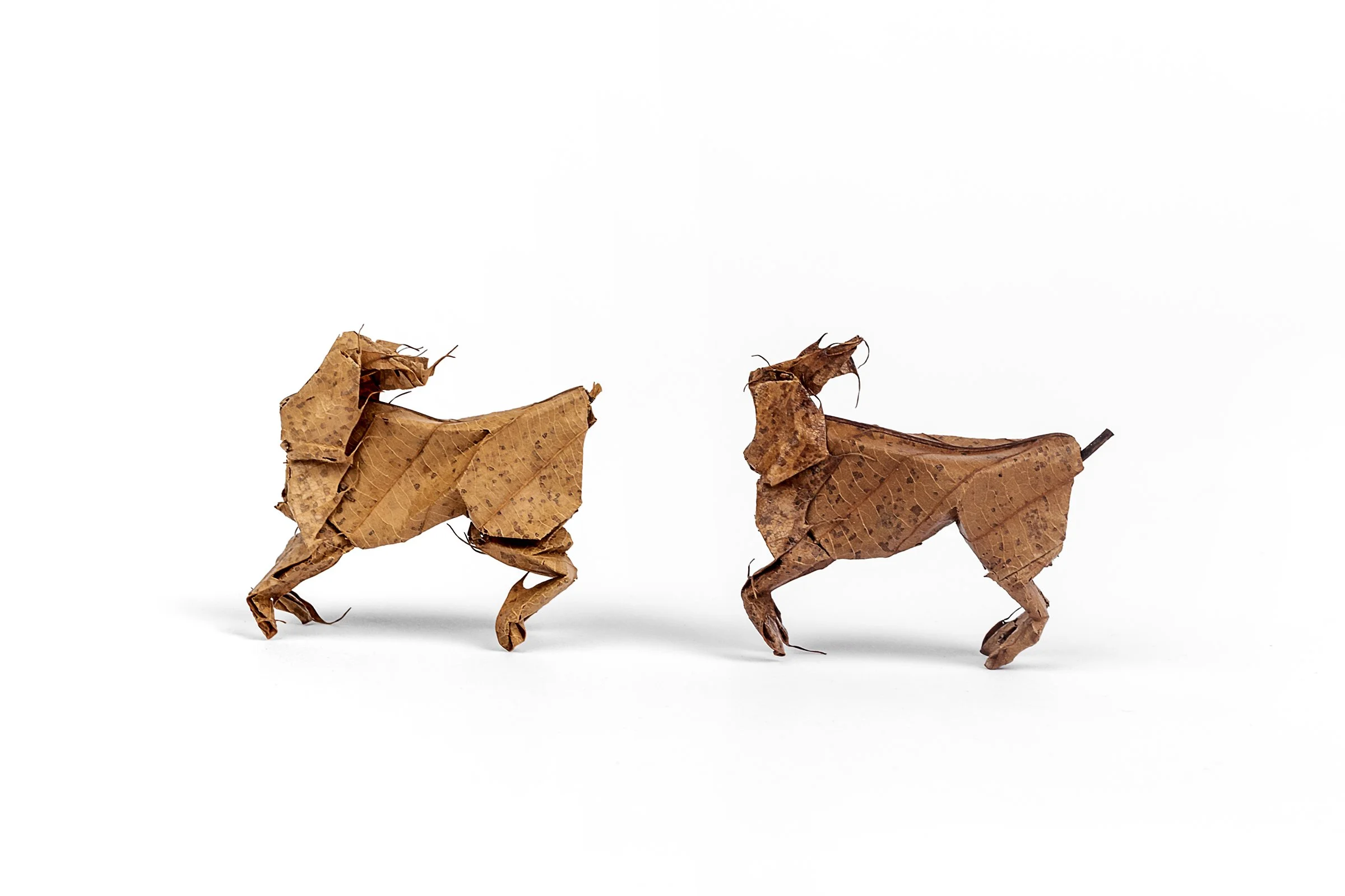 Yoshihiro Watanabe — Jennifer Lauren Gallery