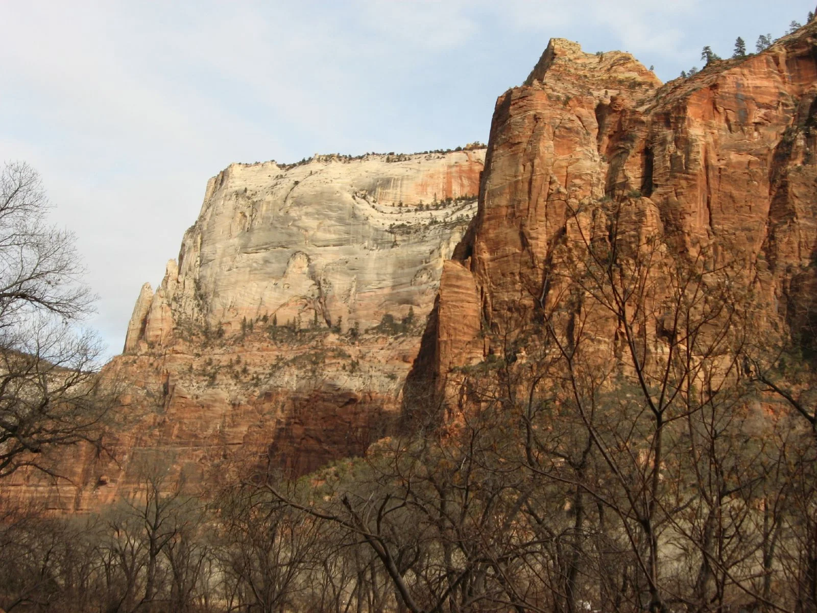 Grotto Canyon, Zion National Park - Canyoneering USA