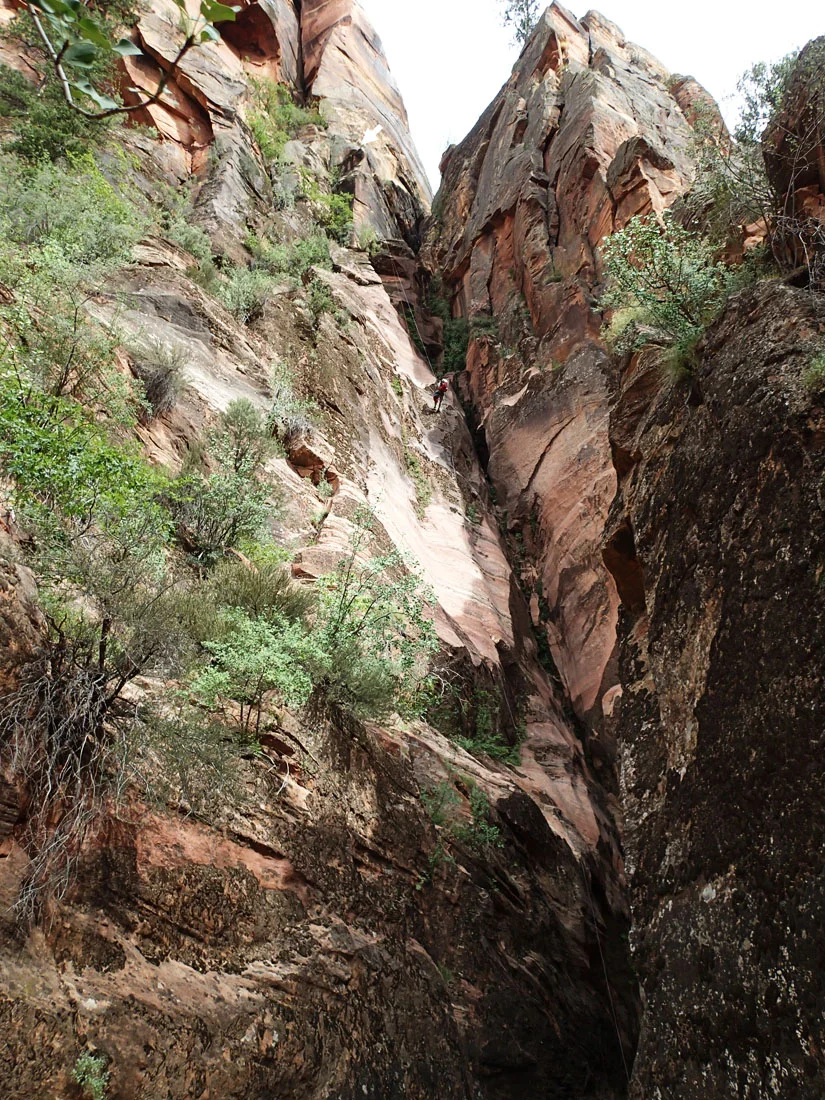 Grotto Canyon, Zion National Park - Canyoneering USA