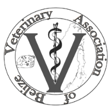 CbVMA