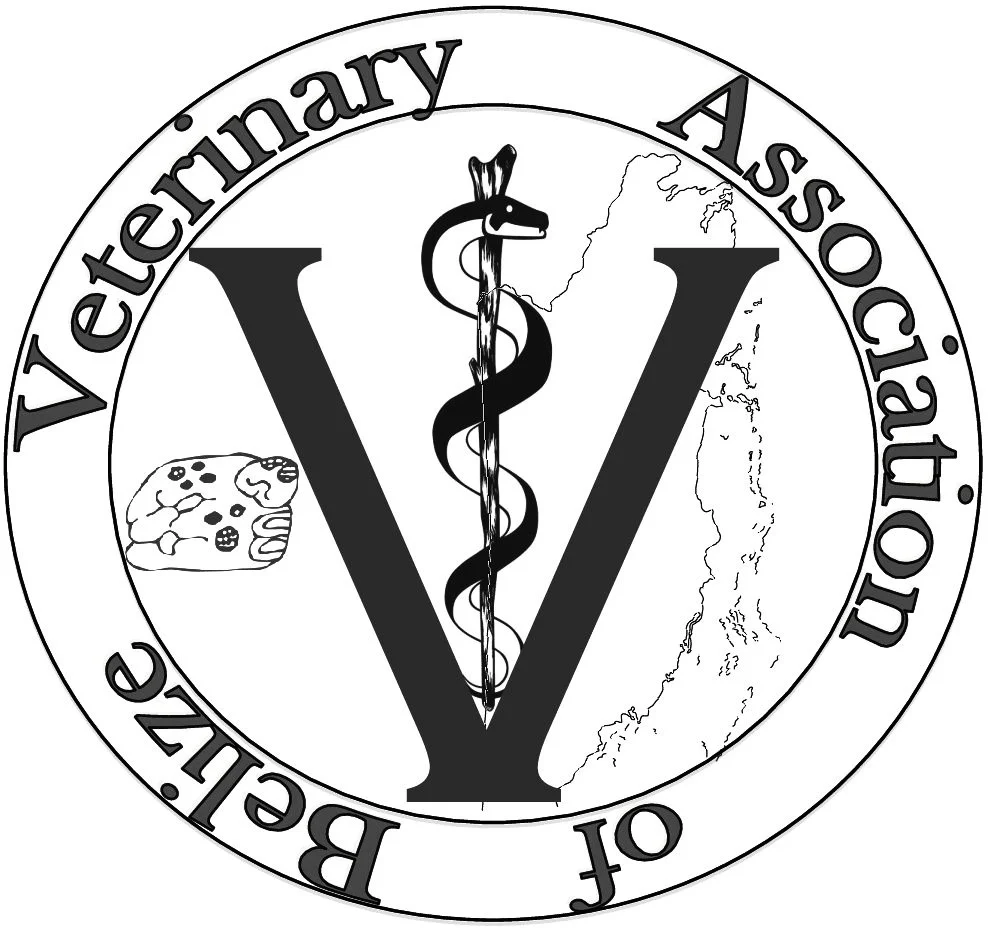 33rd CbVMA Conference Belize — CbVMA