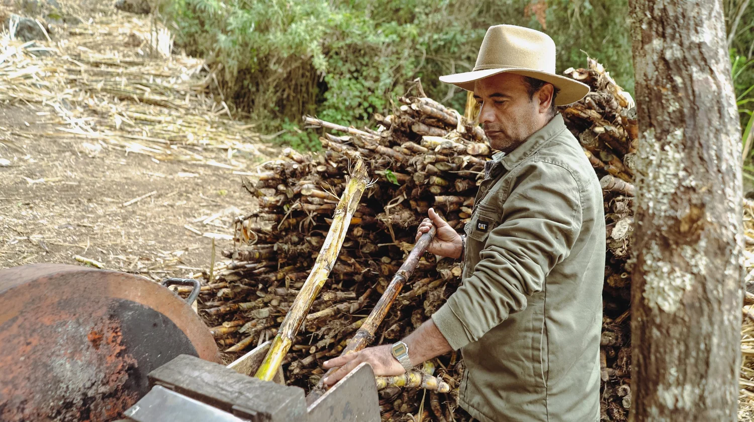 Alambique Serrano: Oaxaca's Legacy of Boutique Artisanal Rums — PM Spirits