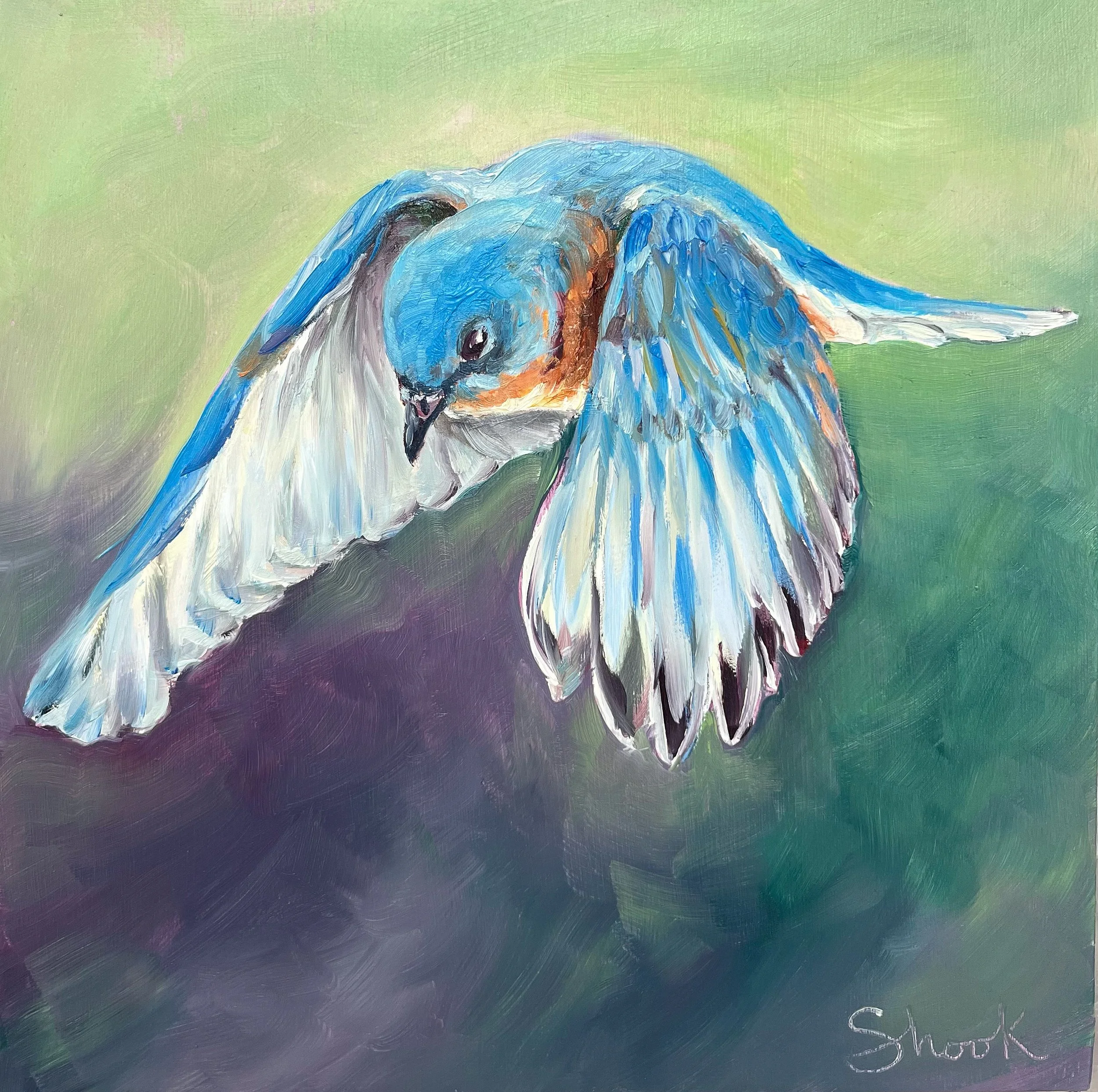 STORE — Michelle Shook