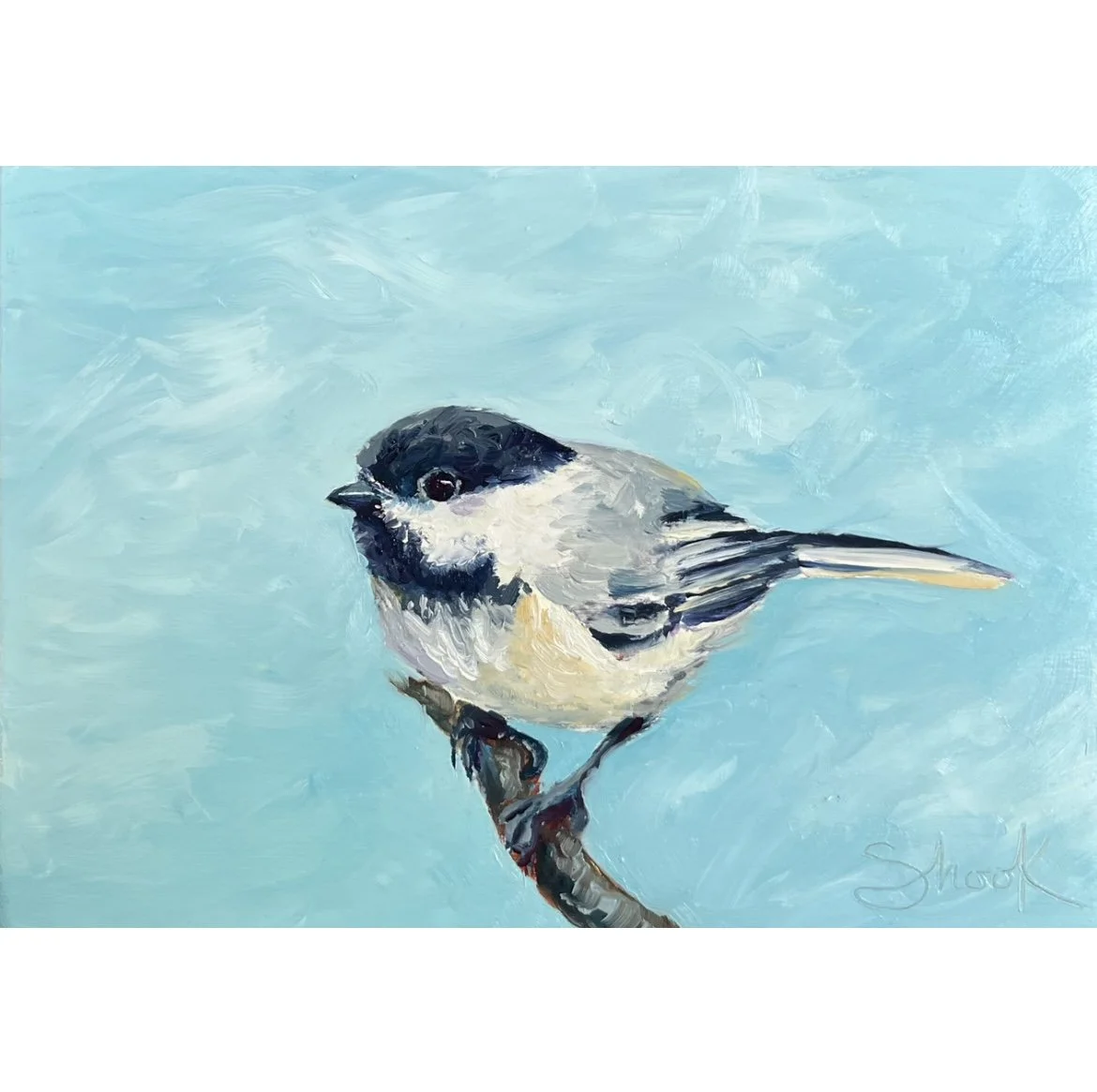 STORE — Michelle Shook