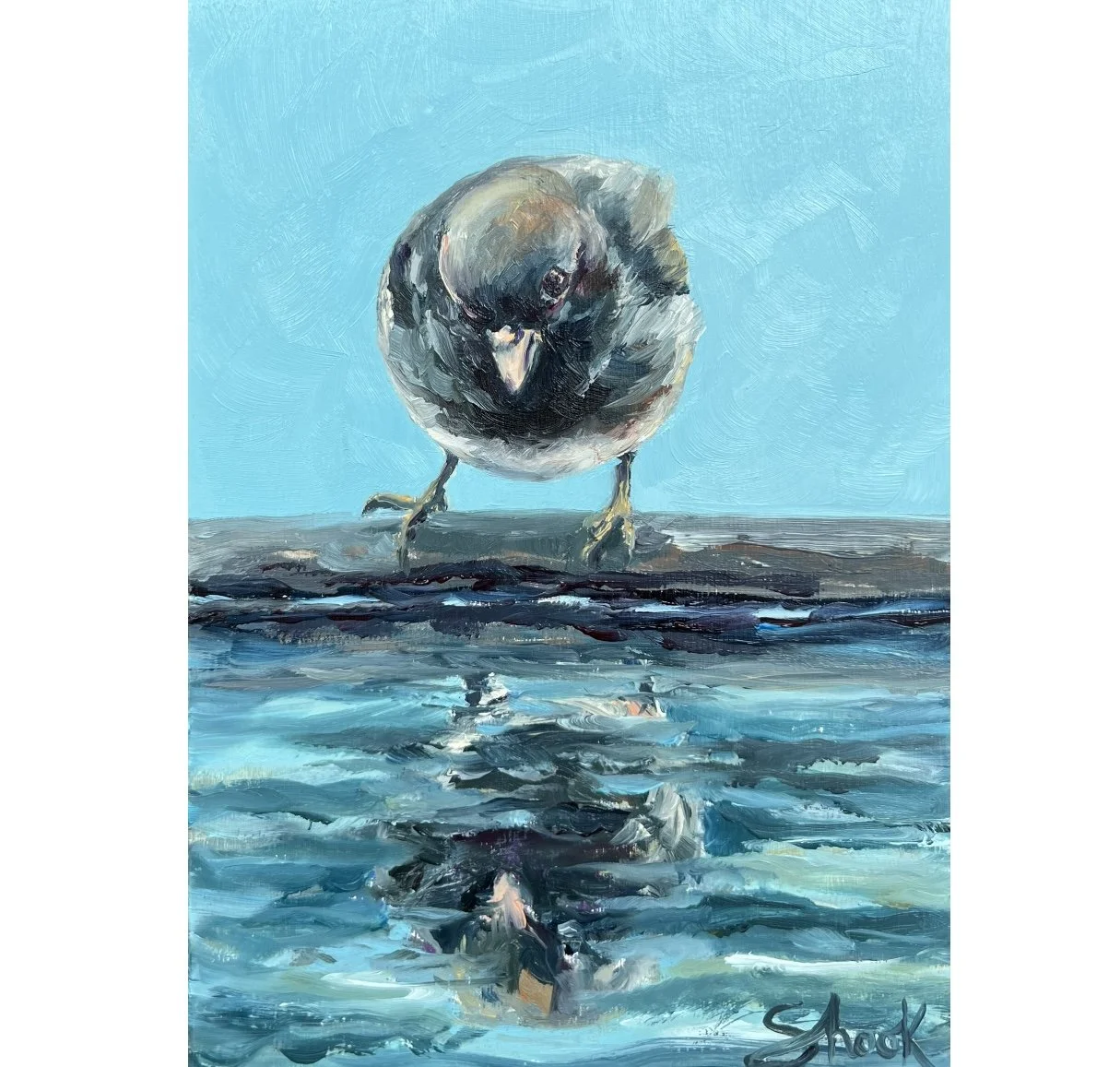 STORE — Michelle Shook