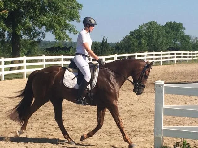 Photo Gallery — Kansas City Dressage Society
