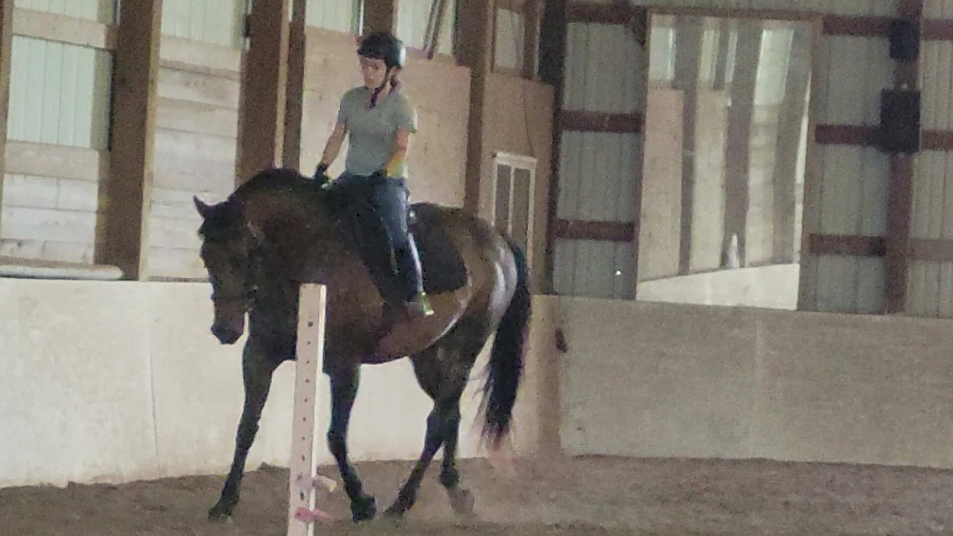 Classifieds — Kansas City Dressage Society