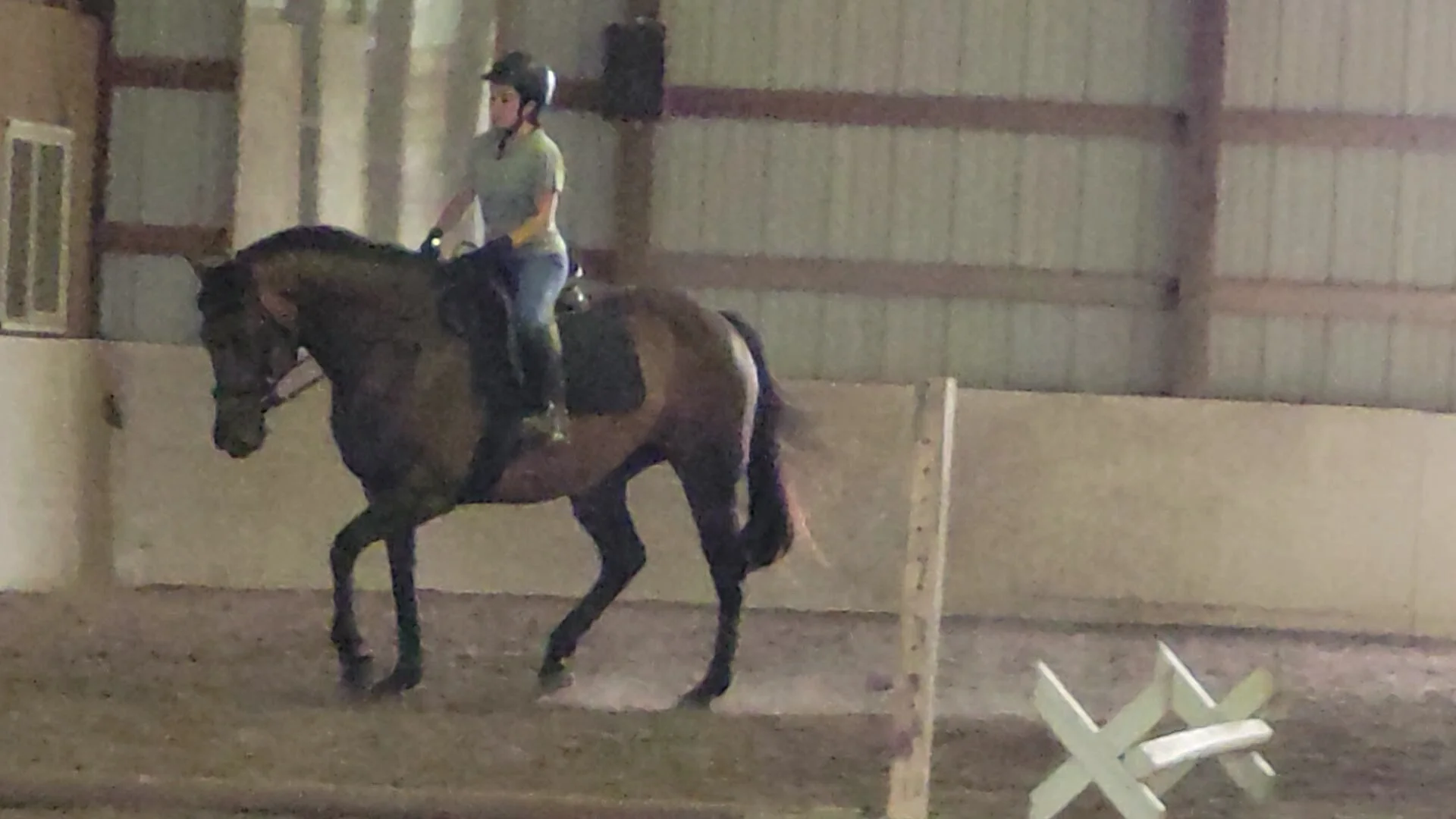 Classifieds — Kansas City Dressage Society