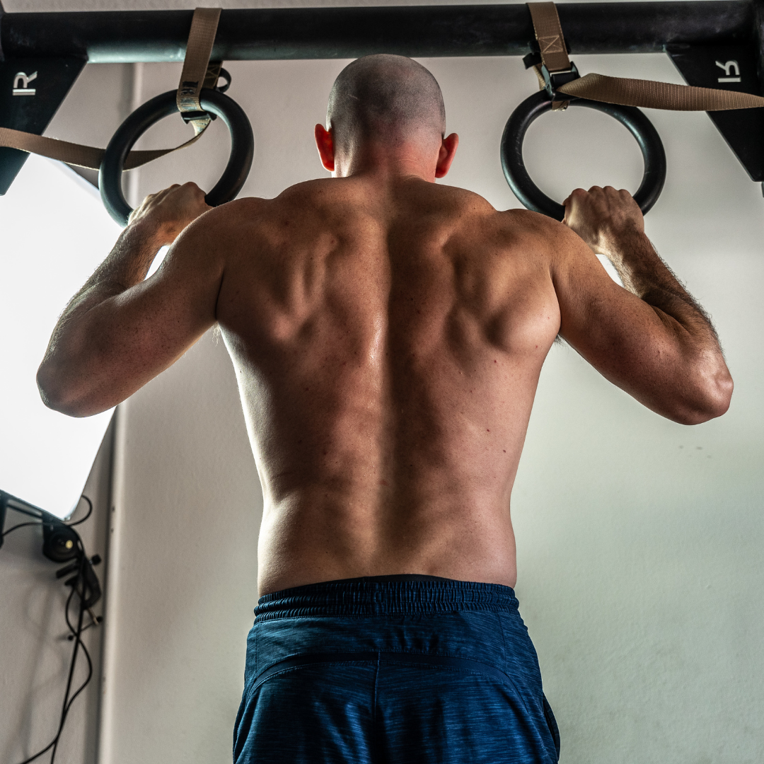 Sets, Reps, Rest, and Tempo... — FLOCH FITNESS