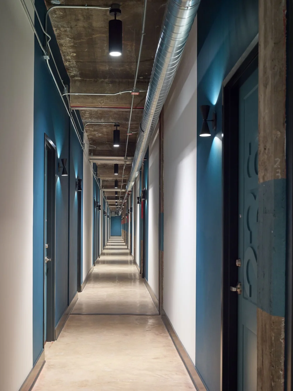 The Denham Building — Creature